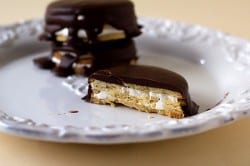 Homemade Moon Pies Recipe
