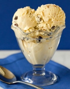Oatmeal-Raisin Ice Cream - Brown Eyed Baker