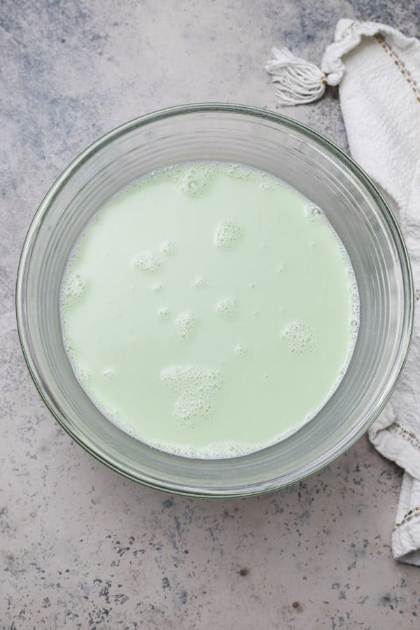 Homemade Mint Chocolate Chip Ice Cream - Brown Eyed Baker